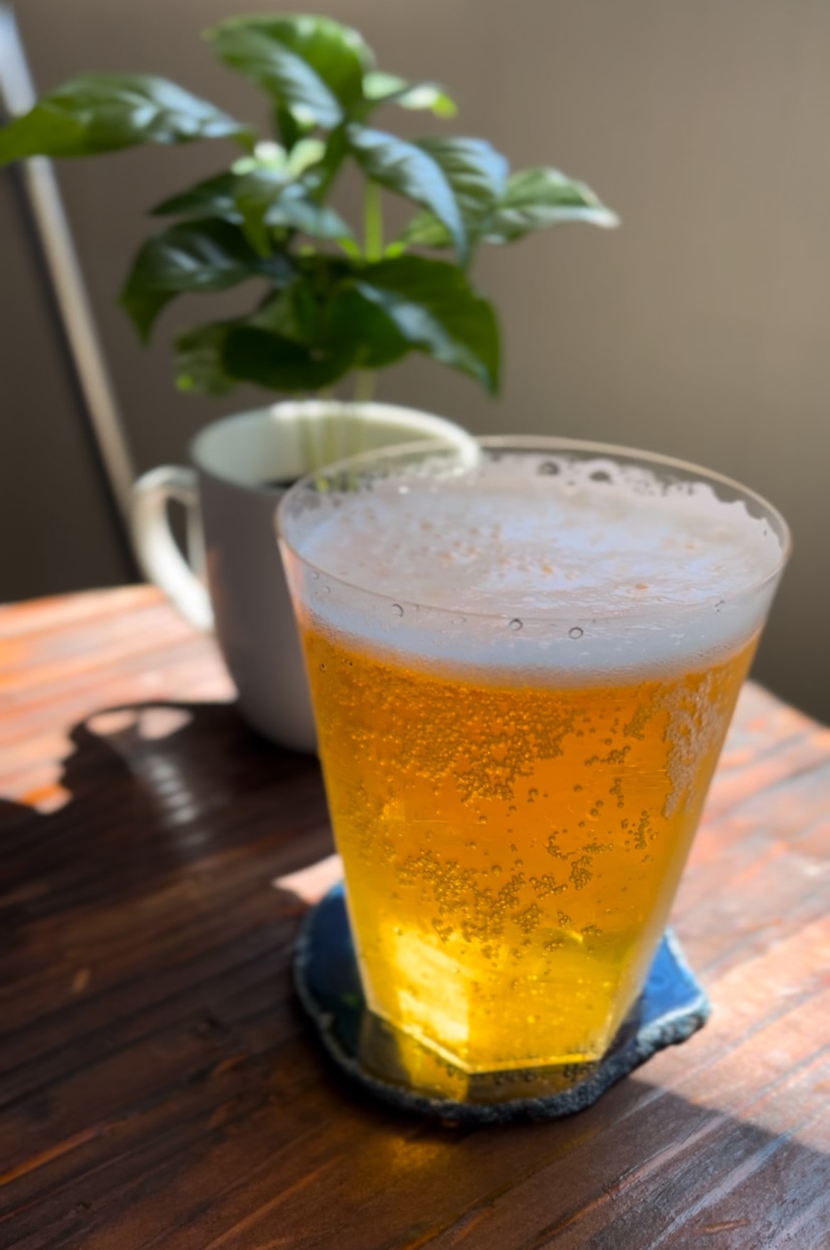 日本のモノづくり企業の本気。限界を超えた超薄型100％生分解バイオプラスチックグラス- 日進精機株式会社